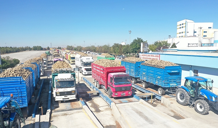 Konya Şeker 2022 – 2023 kampanya döneminde 500 bin ton şeker üretecek