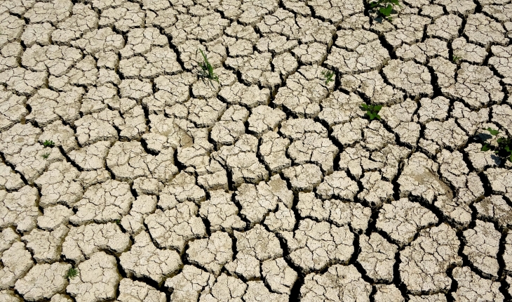 Ege, son 20 yılın en kurak sezonunu yaşıyor