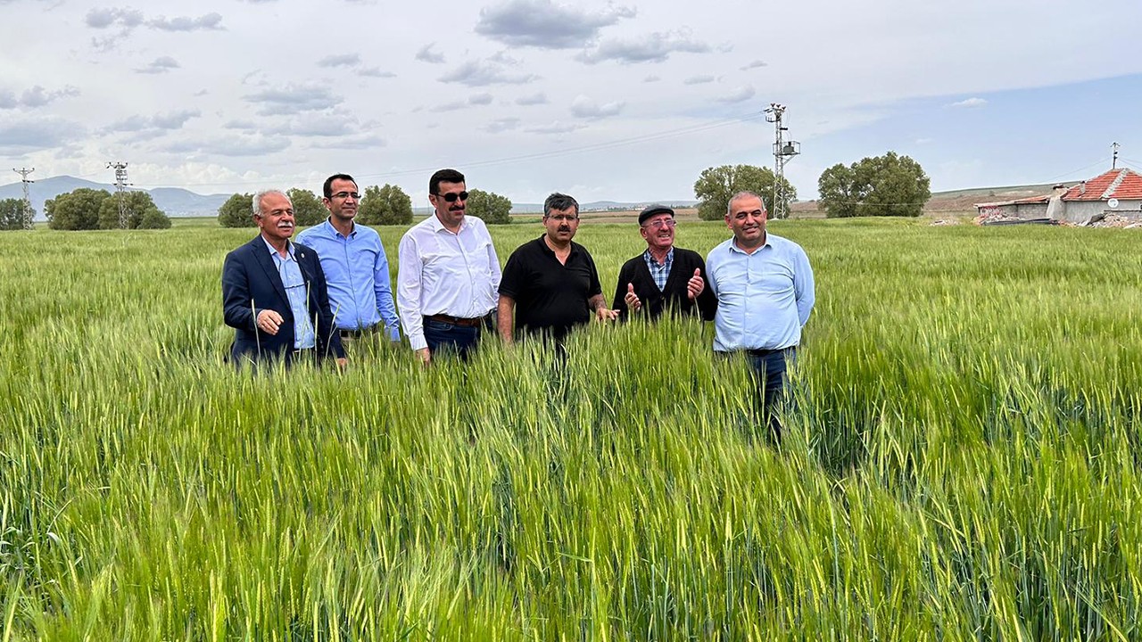 Kulu'da tarım arazilerinin takibi sürüyor