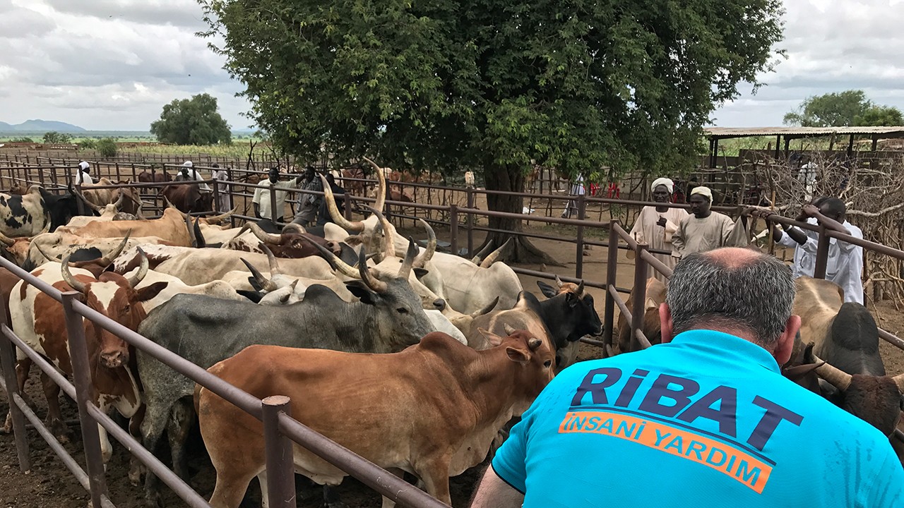 Ribat Kurban’a Hazır