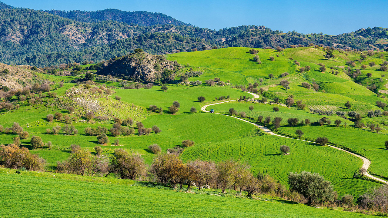Konya’daki yayla sayıları belli oldu! 24 ilçesinde tam 347 yayla ...